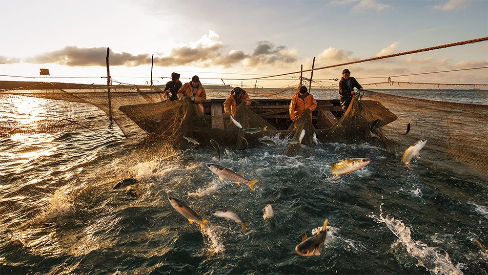 Fishing industry