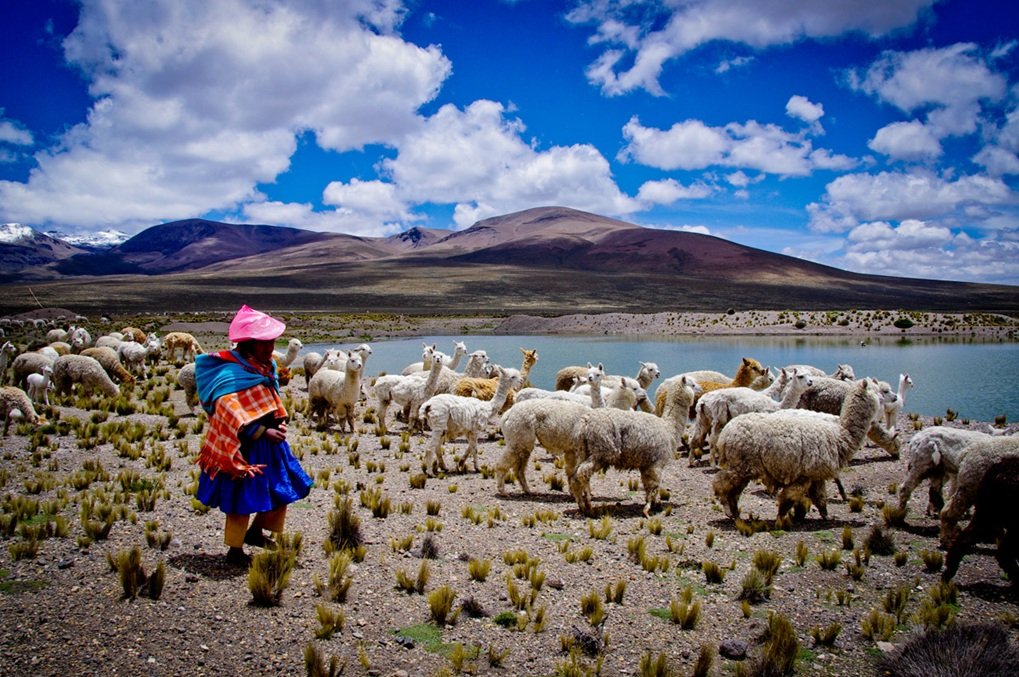 Current state and prospects for agriculture in Peru