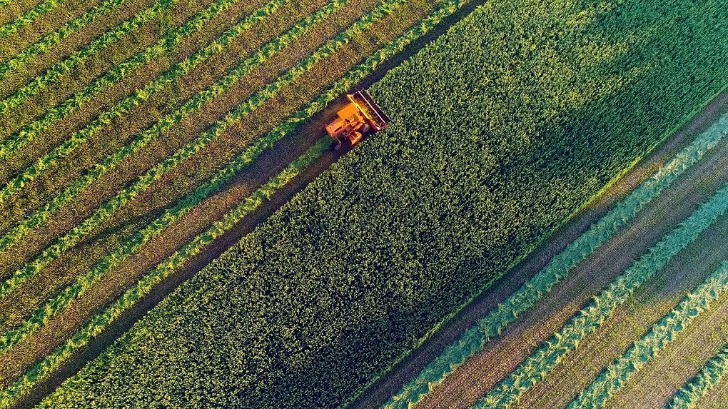 Brazilian agriculture: production, exports, imports