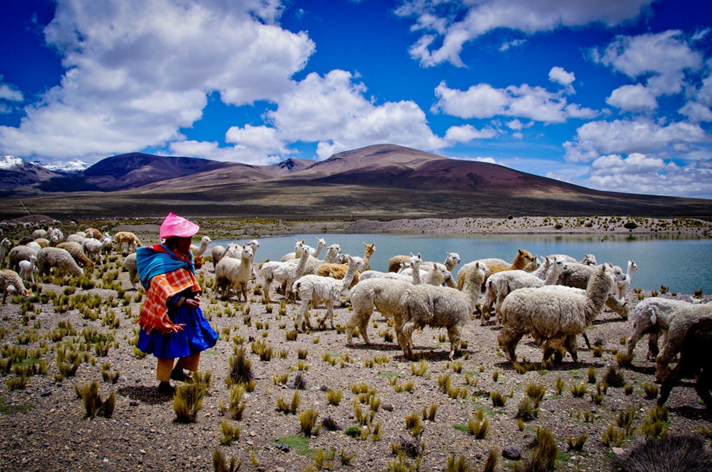 Current state and prospects for agriculture in Peru